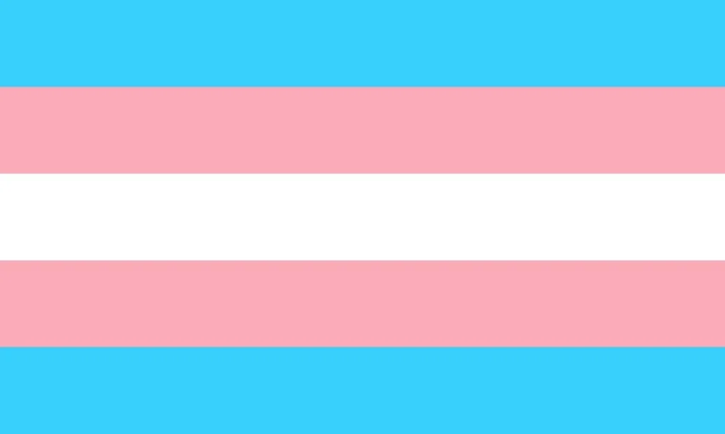 Bandera del orgullo trans: ¿cuál es el significado de sus colores? – Anodis
